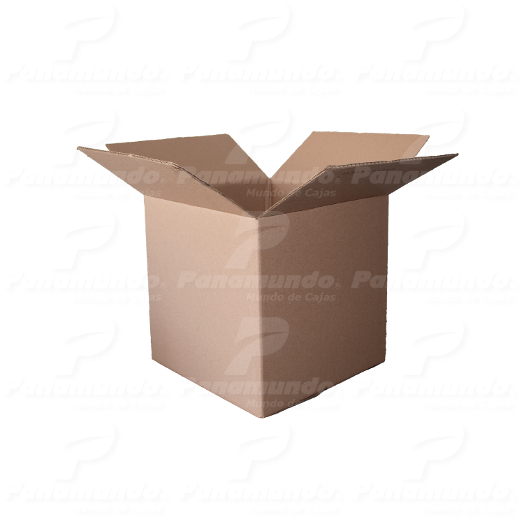 Caja Convencional40x40x40 Panamundo